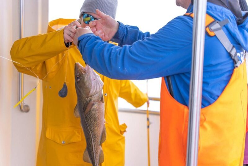 Reykjavik: Sea Fishing Boat Tour & BBQ with the Day's Catch - Key Points