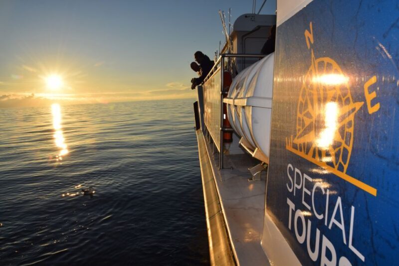 Reykjavik: Sea Fishing Boat Tour & BBQ with the Day's Catch - The Experience: What to Expect on the Sea
