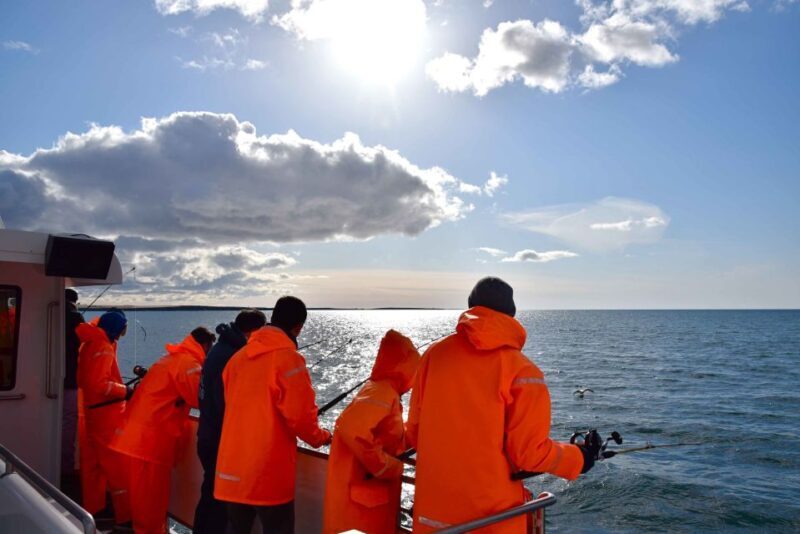 Reykjavik: Sea Fishing Boat Tour & BBQ with the Day's Catch - The Sum Up: Who Will Love This Tour?