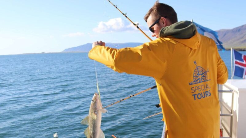 Reykjavik: Sea Fishing Boat Tour & BBQ with the Day's Catch - FAQ About the Reykjavik Sea Fishing Tour