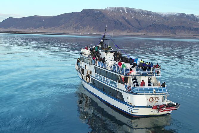 Reykjavik Shore Excursion: Whale-Watching Cruise - Practical Tips for Your Whale-Watching Experience