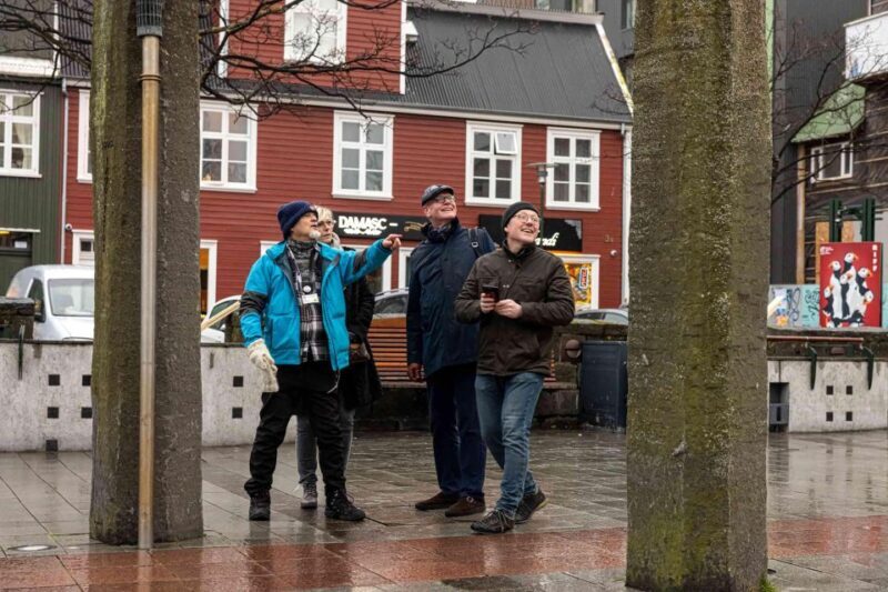 Reykjavik: Sightseeing Walking Tour with a Viking - Price and Overall Value