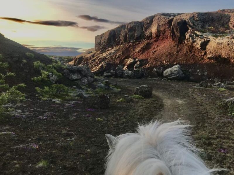 Reykjavik: Small-Group Horse Volcano Riding Tour with Pickup - Key Points