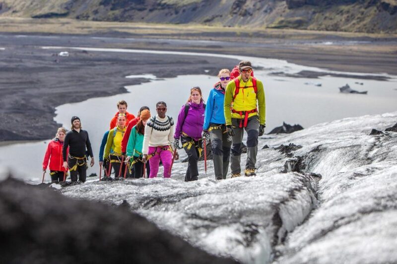 Reykjavik: South Coast Activity Tours - Practical Information and Tips