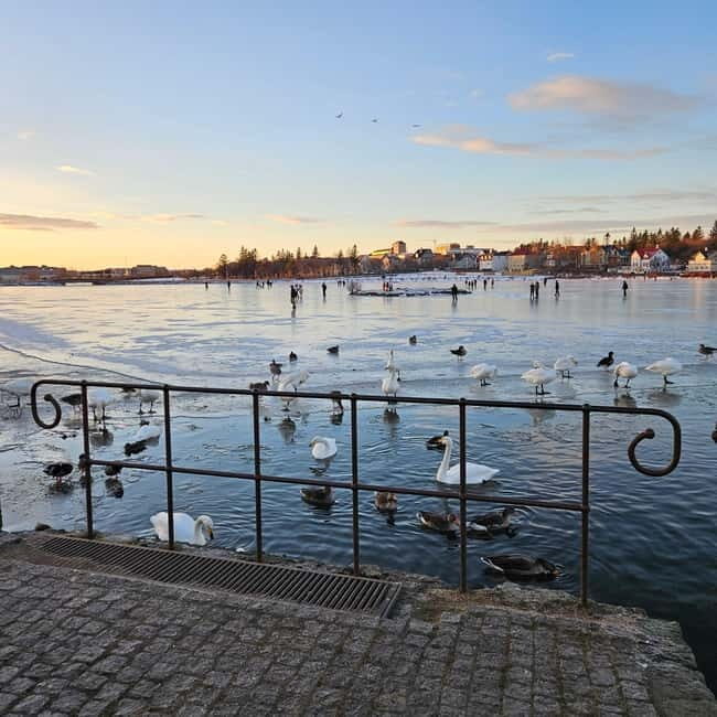 Reykjavik: Street Food Walking Tour - Exploring the Reykjavik Food Scene