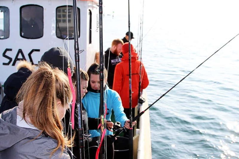 Reykjavik: Traditional Sea Fishing with BBQ Feast - Key Points