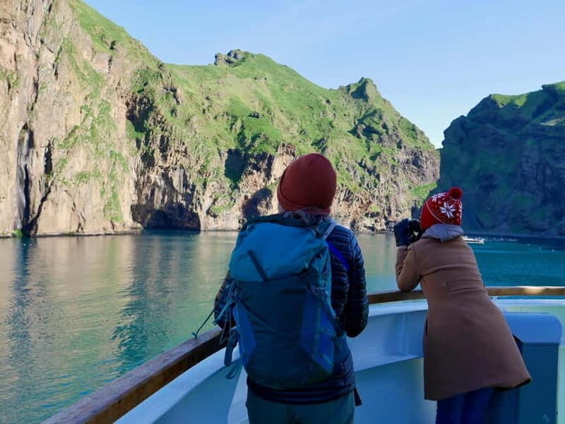 Reykjavik - Westman Islands (Bus transfer to Landeyjahöfn) - The Details: What to Expect