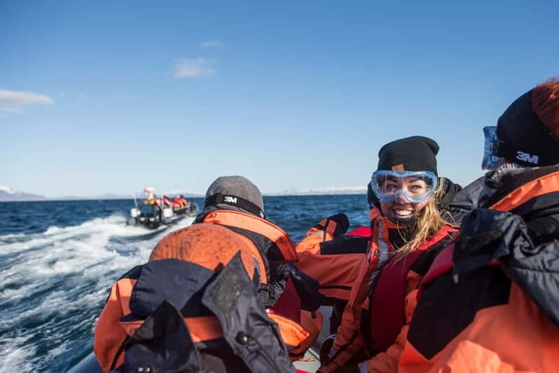 Reykjavik: Whale and Puffin Watching RIB Boat Tour - Key Points