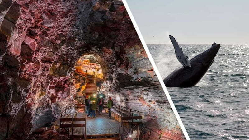 Reykjavik: Whale Watching and Lava Tunnel Combo Tour - What to Expect During the Tour