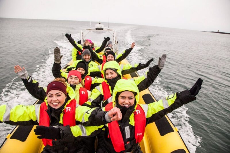 Reykjavik: Whale Watching by RIB Speedboat - A Full Look at the Experience