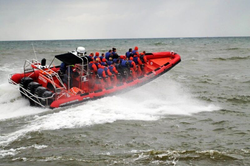 Reykjavik: Whale Watching by RIB Speedboat - The Sum Up: Is It Worth It?