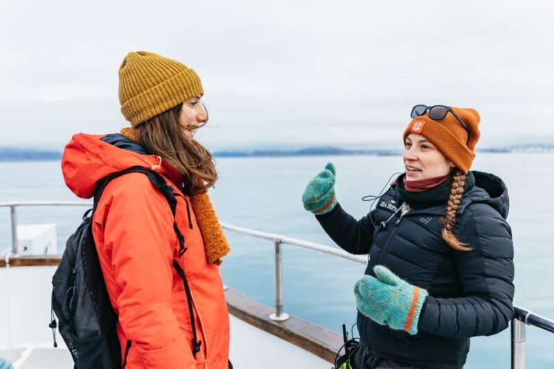Reykjavík: Whale Watching Cruise on the Amelia Rose Yacht - Key Points