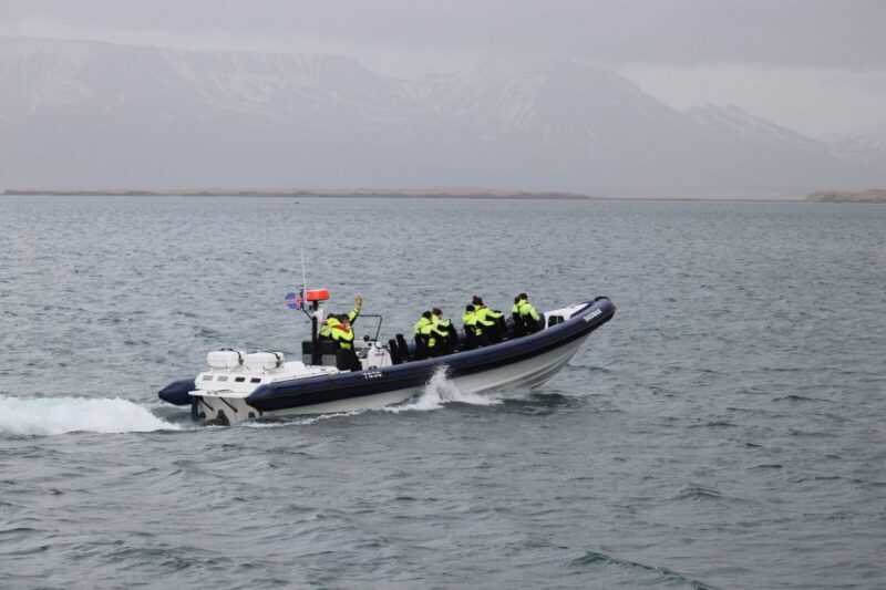 Reykjavik: Whale Watching Tour by RIB Boat - Is It Worth the Price?