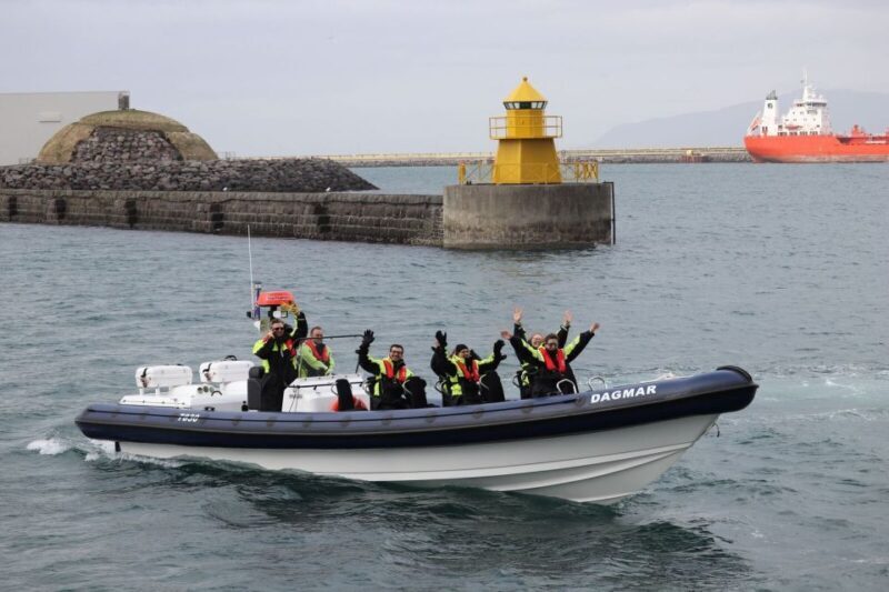 Reykjavik: Whale Watching Tour by RIB Boat - FAQ