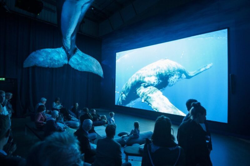 Reykjavik: Whale Watching Tour, Whales of Iceland Exhibition - Final Thoughts