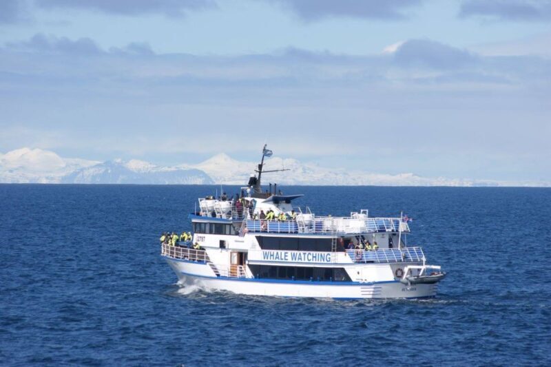 Reykjavik: Whale Watching Tour, Whales of Iceland Exhibition - FAQs