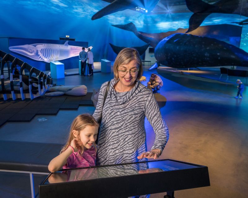 Reykjavik: Whales of Iceland Museum Entrance Ticket - Authentic Experiences Shared by Visitors
