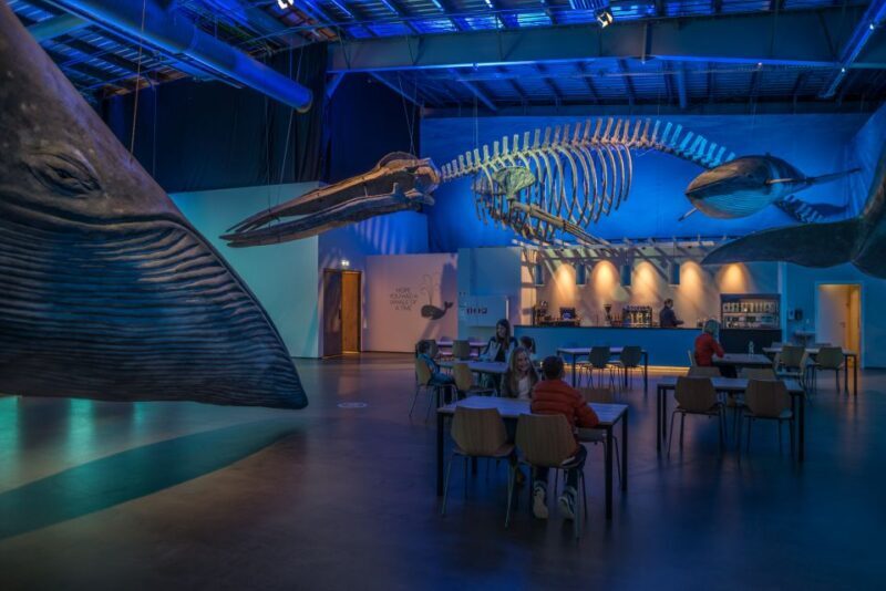 Reykjavik: Whales of Iceland Museum Entrance Ticket - Why This Tour Matters