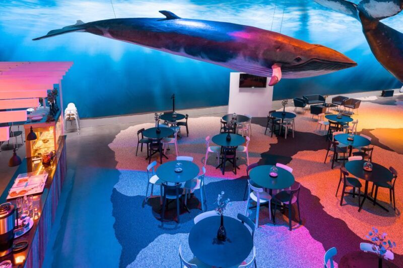 Reykjavik: Whales of Iceland Museum Entrance Ticket - FAQ