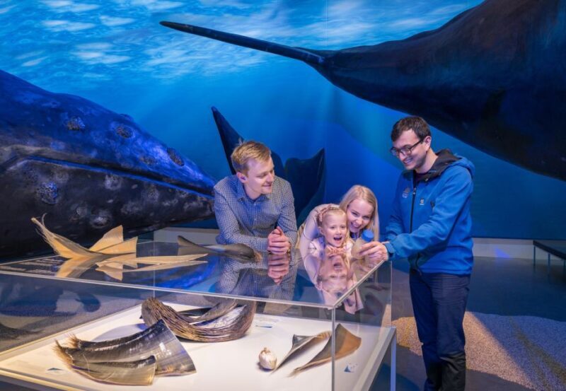 Reykjavik: Whales of Iceland Museum Entrance Ticket - Final Thoughts