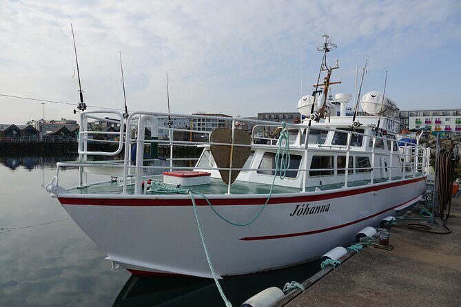 Reykjavik's Finest Catch: Guided Sea Angling Tour for All Levels - Who Should Consider This Tour?