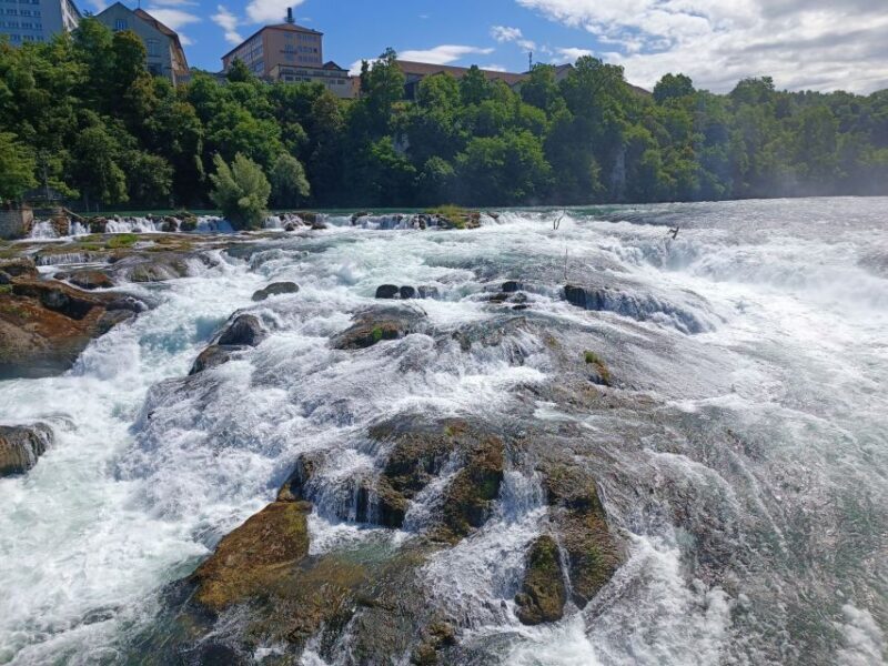 Rhine Falls & Stein am Rhein: Private Tour with a Local - Key Points