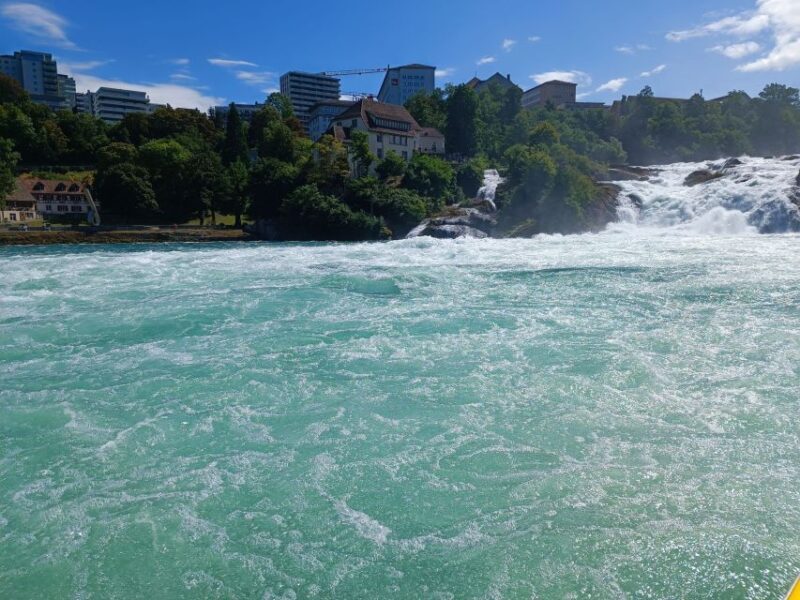 Rhine Falls & Stein am Rhein: Private Tour with a Local - The Sum Up