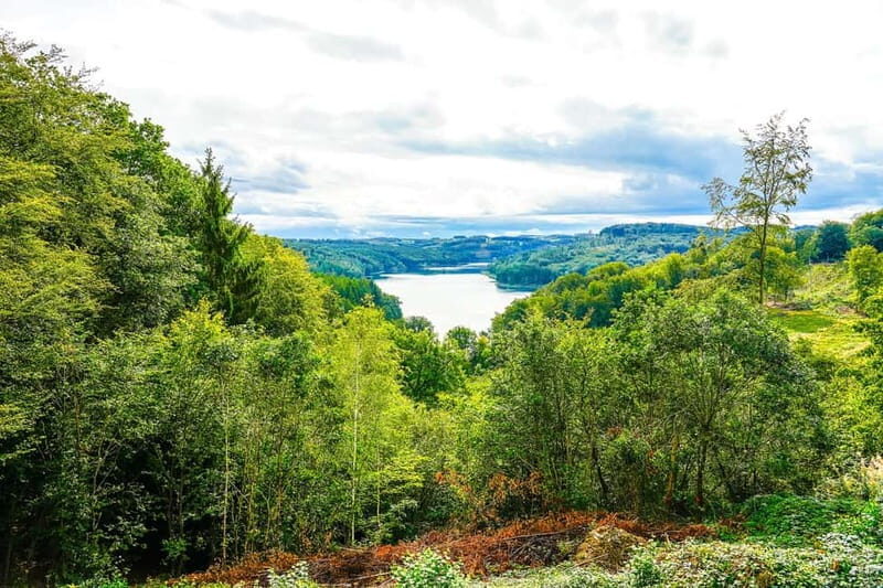 Rhine Tour: Guided trike tour through the Bergisches Land | Thursday, July 24, 2025 - FAQs