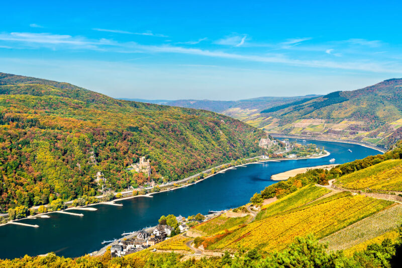 Rhine Valley Castles: 1.5-Hour Boat Tour from Rüdesheim - Authentic Experiences & Practical Insights