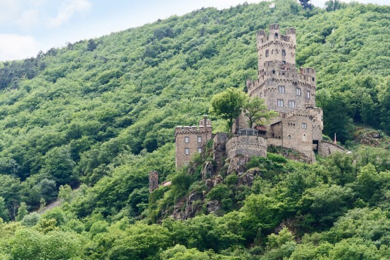 Rhine Valley Castles: 1.5-Hour Boat Tour from Rüdesheim - Who Will Enjoy This Tour?