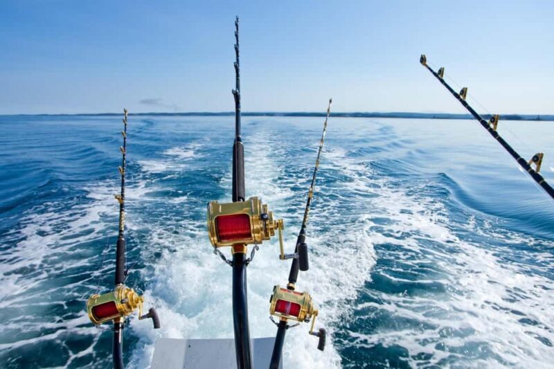 Rhodes: 4 Hour Private Boat Fishing Trip with Equipment - An Authentic Look at the 4-Hour Private Fishing Trip