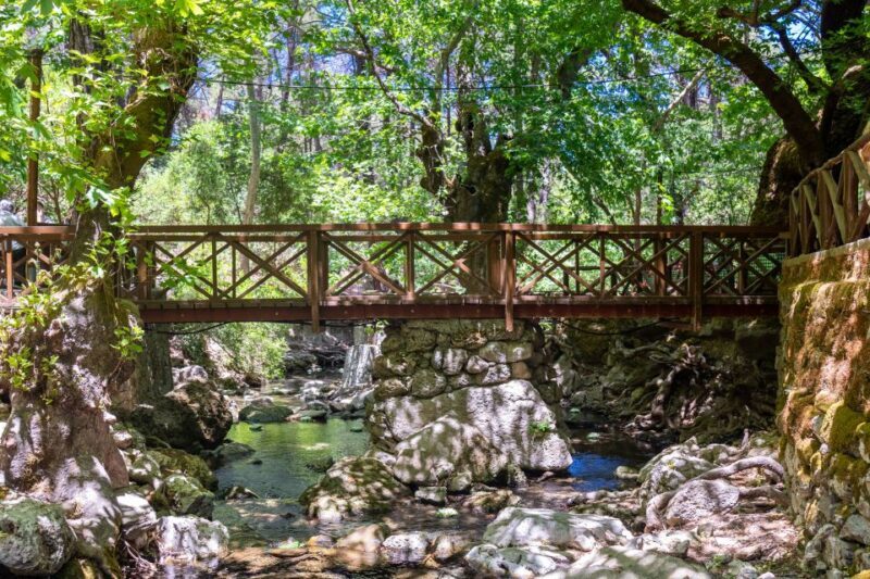 Rhodes: Butterfly Valley and Seven Springs Valley Day Trip - Transportation and Price Analysis