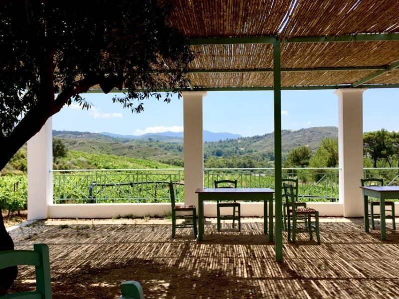 Rhodes: Cooking Class and Wine Tasting Experience - Final Thoughts