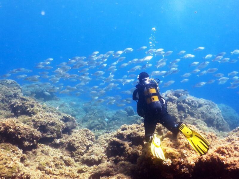 Rhodes: Diving Adventure for Beginners and Experts - A Thorough Look at the Rhodes Scuba Diving Tour