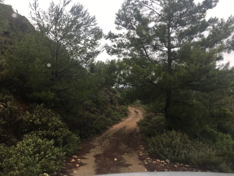 Rhodes: Full-Day 4WD Southern Safari Tour - Who Will Love This Tour?