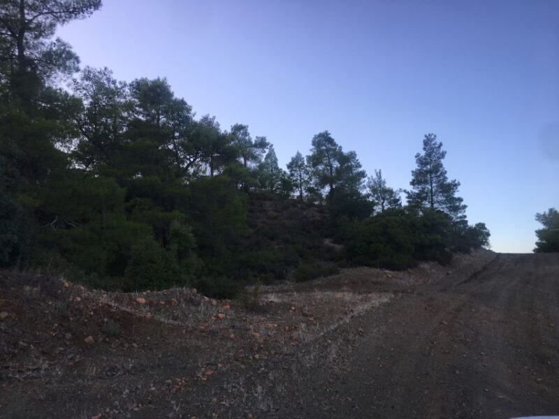 Rhodes: Full-Day 4WD Southern Safari Tour - FAQs