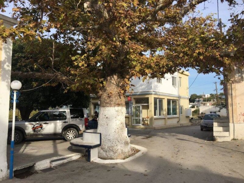 Rhodes: Full-Day 4WD Northern Safari Tour - Key Points