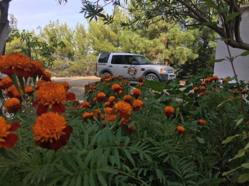 Rhodes: Full-Day 4WD Northern Safari Tour - Who Will Love This Tour?