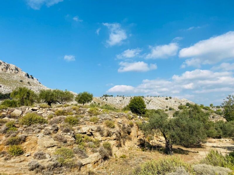 Rhodes: Guided Hike to 7 springs from Archangelos - The Experience: What You’ll Encounter