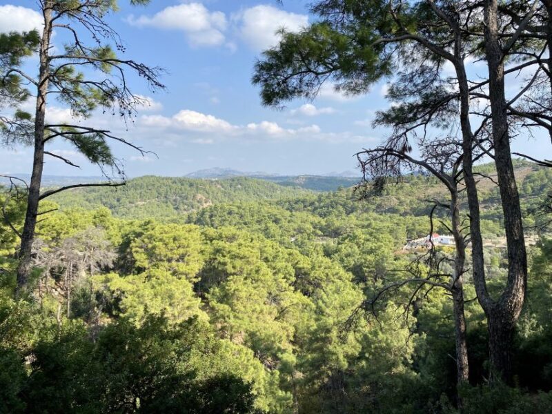 Rhodes: Guided Hike to 7 springs from Archangelos - Final Thoughts