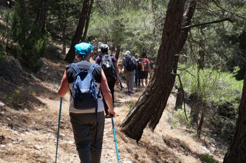 Rhodes: Hiking Tour to the Summit of Akramitis with Photos - Key Points