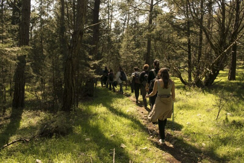 Rhodes: Hiking Tour to the Summit of Akramitis with Photos - FAQ
