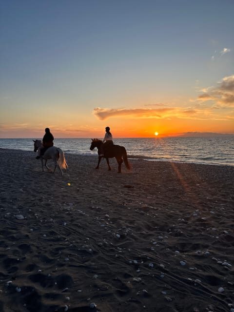 Rhodes: Horseback Riding Trip with Digital Photos - In-Depth Look at the Rhodes Horseback Riding Tour