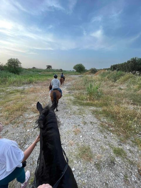 Rhodes: Horseback Riding Trip with Digital Photos - FAQ About the Rhodes Horseback Riding Tour