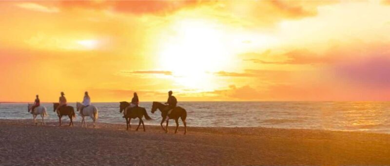 Rhodes Island: Horseback Riding at the Beach During Sunset - The Experience at a Glance