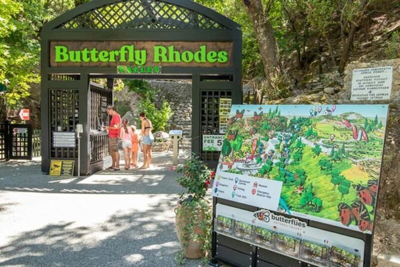 Rhodes: Island Visit With Wine, Olive Oil, & Honey Tasting - Exploring Rhodes: A Practical Review of the Island Tour with Tastings