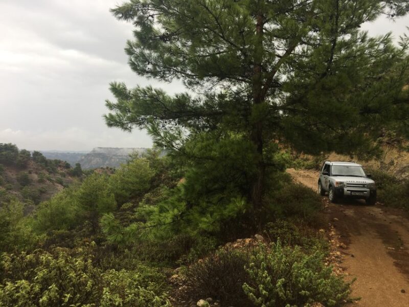 Rhodes North Safari: Hidden Paths & Scenic Flavors - Key Points