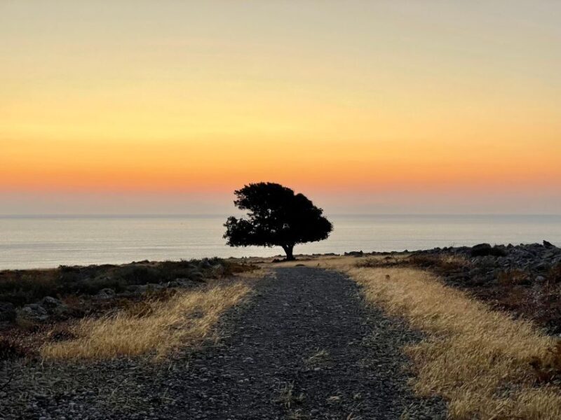 Rhodes: Pefkos-Navarone Bay, the magic of sunrise - In-Depth Tour Breakdown
