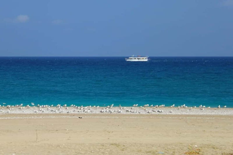 Rhodes: Safari with our driver - North - Pick ups East Coast - Final Words: Is This Tour Right for You?