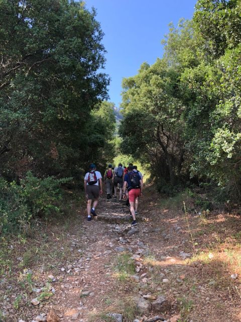 Rhodes: Salakos to Profitis Ilias 4 hours Guided Hike - Final Thoughts